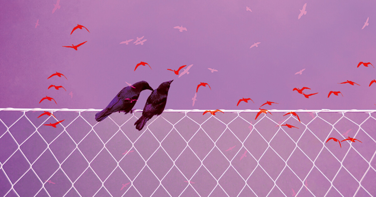 Bildung Bern - Carte du Nouvel An